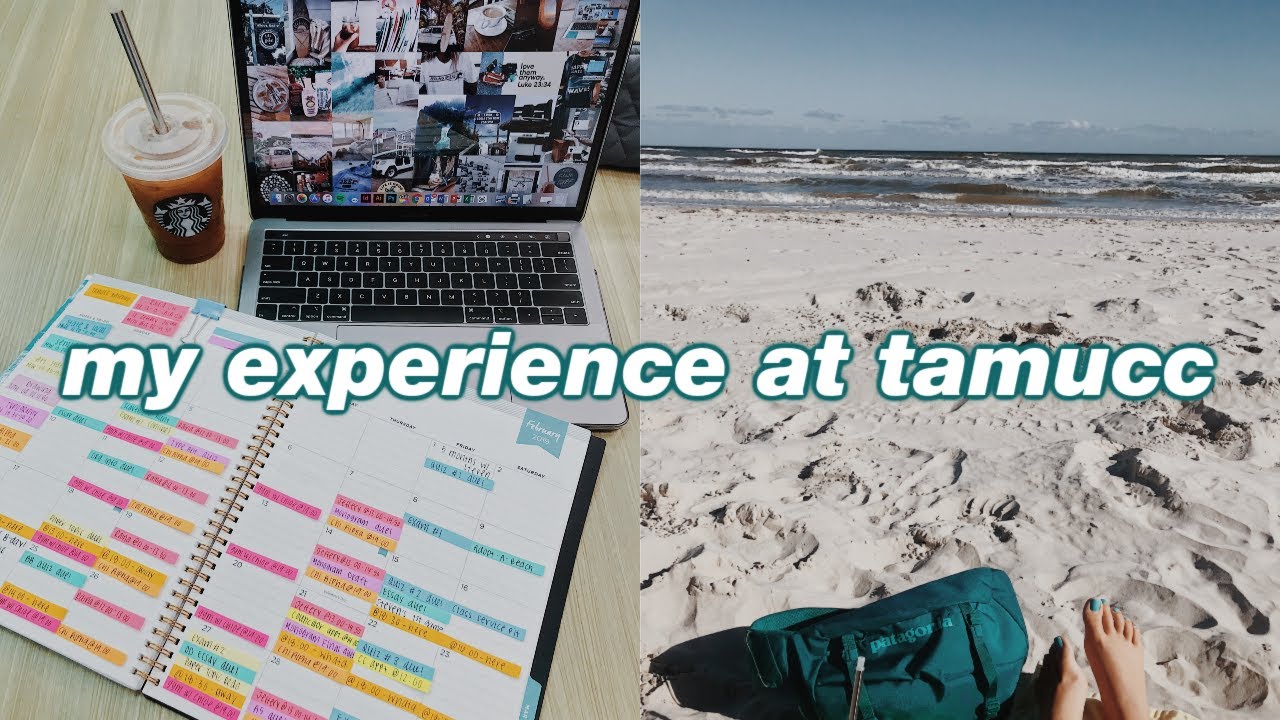 My Experience At TAMUCC So Far... - YouTube