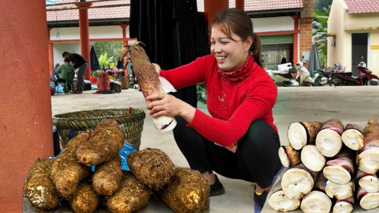 Full video: 60 harvesting (wild tubers, bamboo shoots & vegetables ...