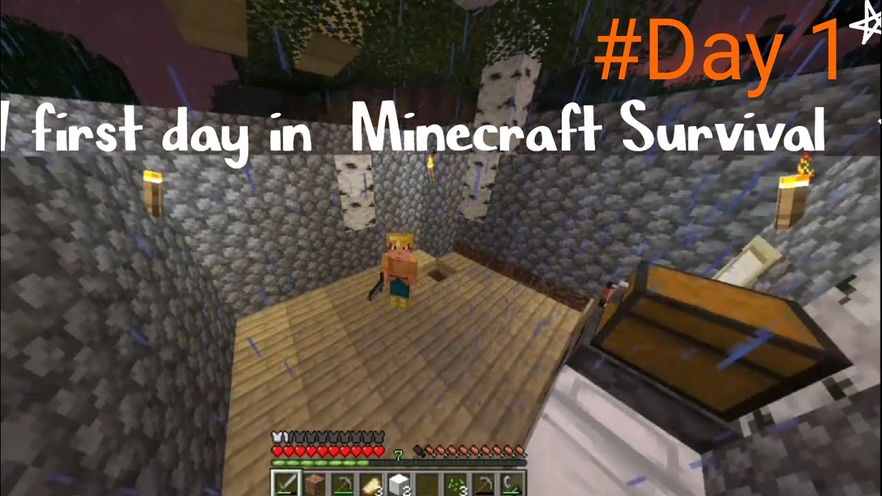 Minecraft Survival Day1 - YouTube