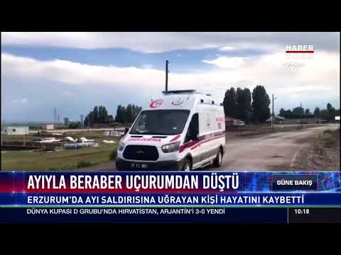 Ayıyla beraber uçurumdan düştü