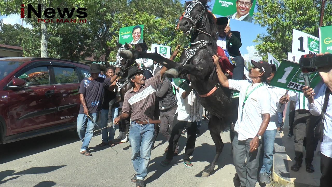Kuda Menari, Saiyyang Patudduq, Budaya Unik Suku Mandar ( Dancing Horse ...
