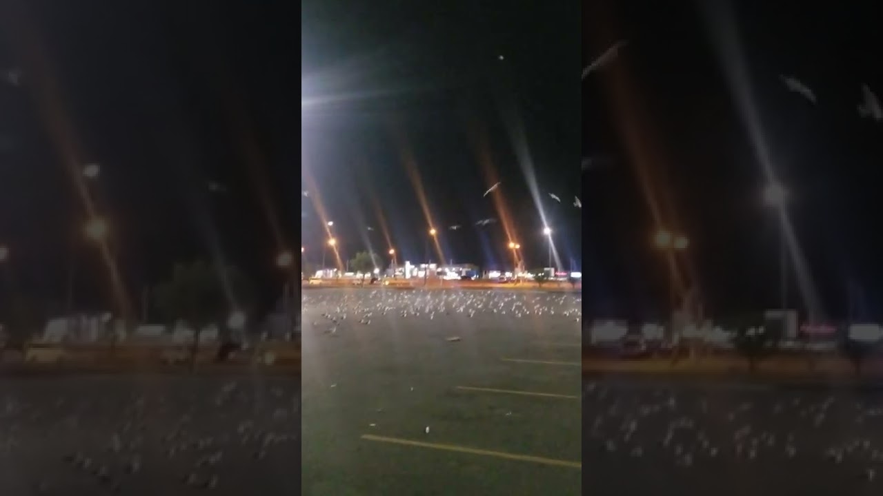 August 23, 2022 - YouTube