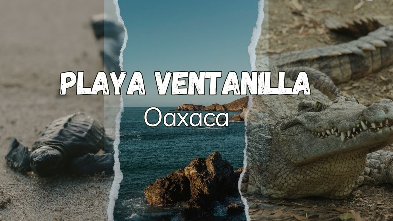 Playa Ventanilla, Oaxaca - YouTube
