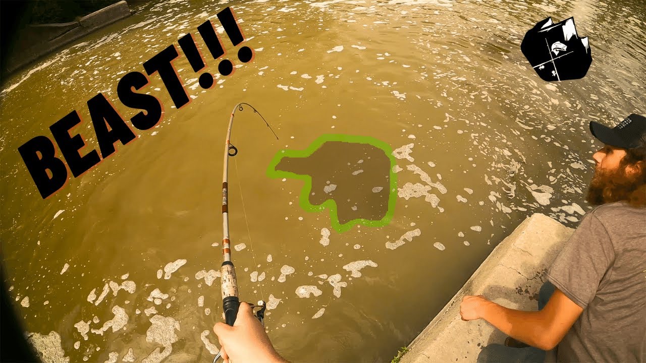 MONSTER AT THE LOCKS (New Species) - YouTube