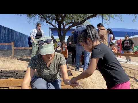 Cocopah Head Start Completes Phase 4 of its New Garden - YouTube