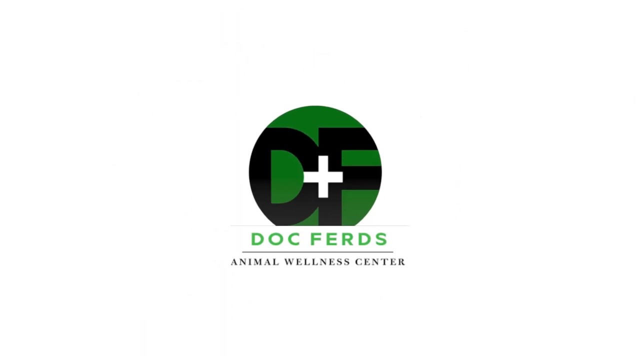 Doc Ferds Animal Wellness Center - YouTube