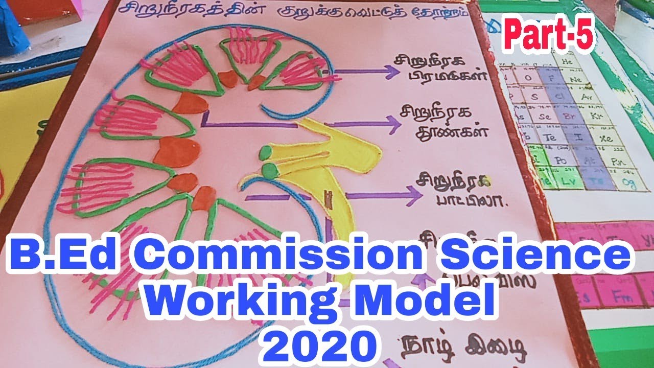 B.Ed Commission Science Working Model 2020 (Part-5) | ALM Model ...