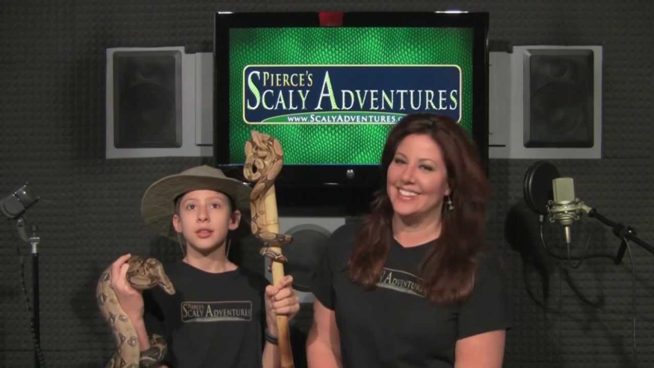 How We Use Time4Learning With Our Homeschool Curriculum - YouTube