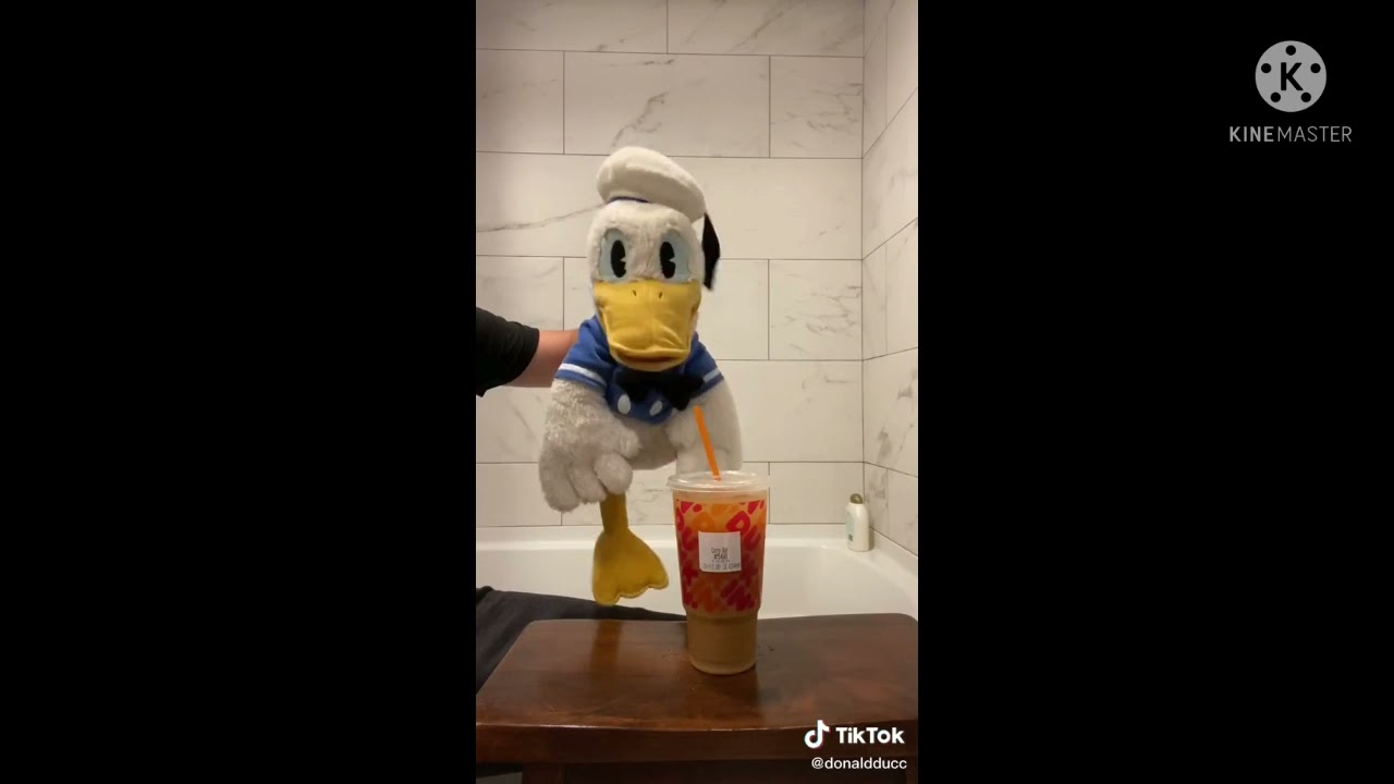 donald duck I really thought it was good effects (Sponsored By uniktty ...