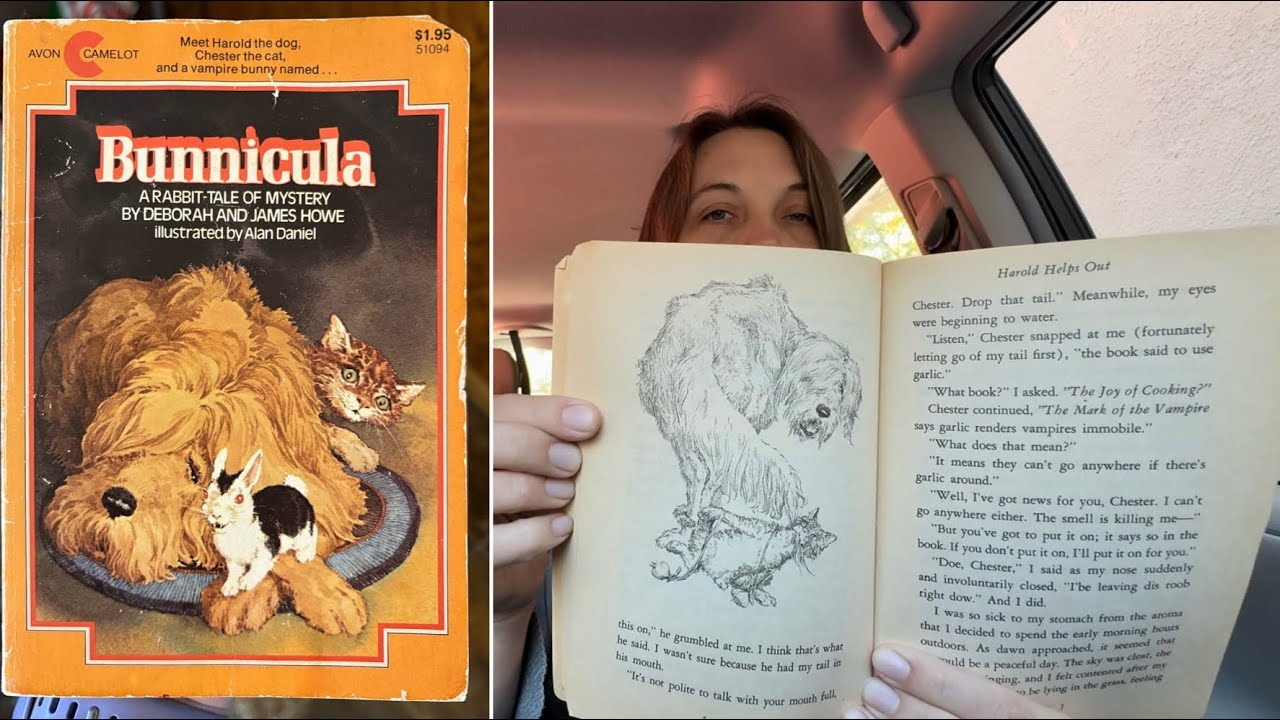 “Bunnicula” by Deborah and James Howe—BOOK REVIEW - YouTube