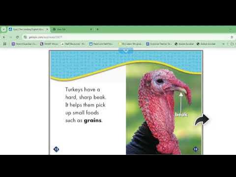 Turkeys nonfiction book read aloud - YouTube