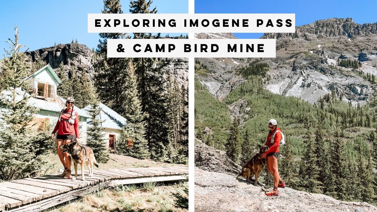 Exploring Imogene Pass and Camp Bird Mine: A Ouray Adventure Day - YouTube