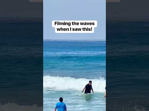 Smart Vacation Tips That Make Life So Much Easier ☀️🏖️✈️