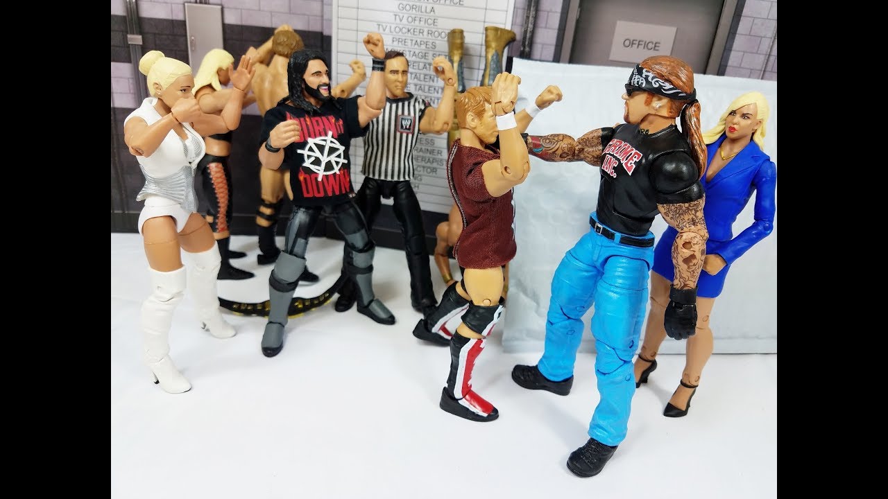 Wwe Diva Actionfigures Custom