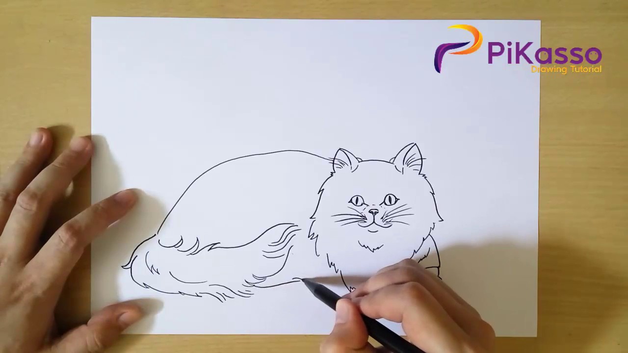 How to Draw Cats step by step easy - YouTube