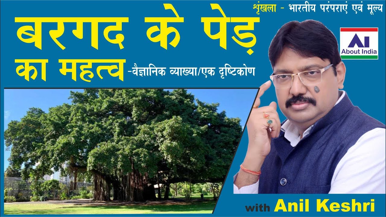 बरगद के पेड़ का महत्व | Importance of Banyan Tree | Baragad ke ped ka ...