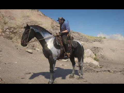 RDR2- 100% Way to Get a Piebald Tobiano (Hungarian Halfbred) in Very ...