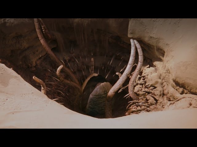 Sarlacc Pit Return Of The Jedi