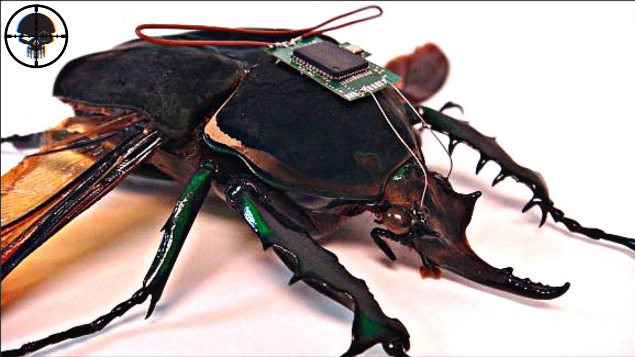 7 most ADVANCED MILITARY Technologies 💥 - YouTube