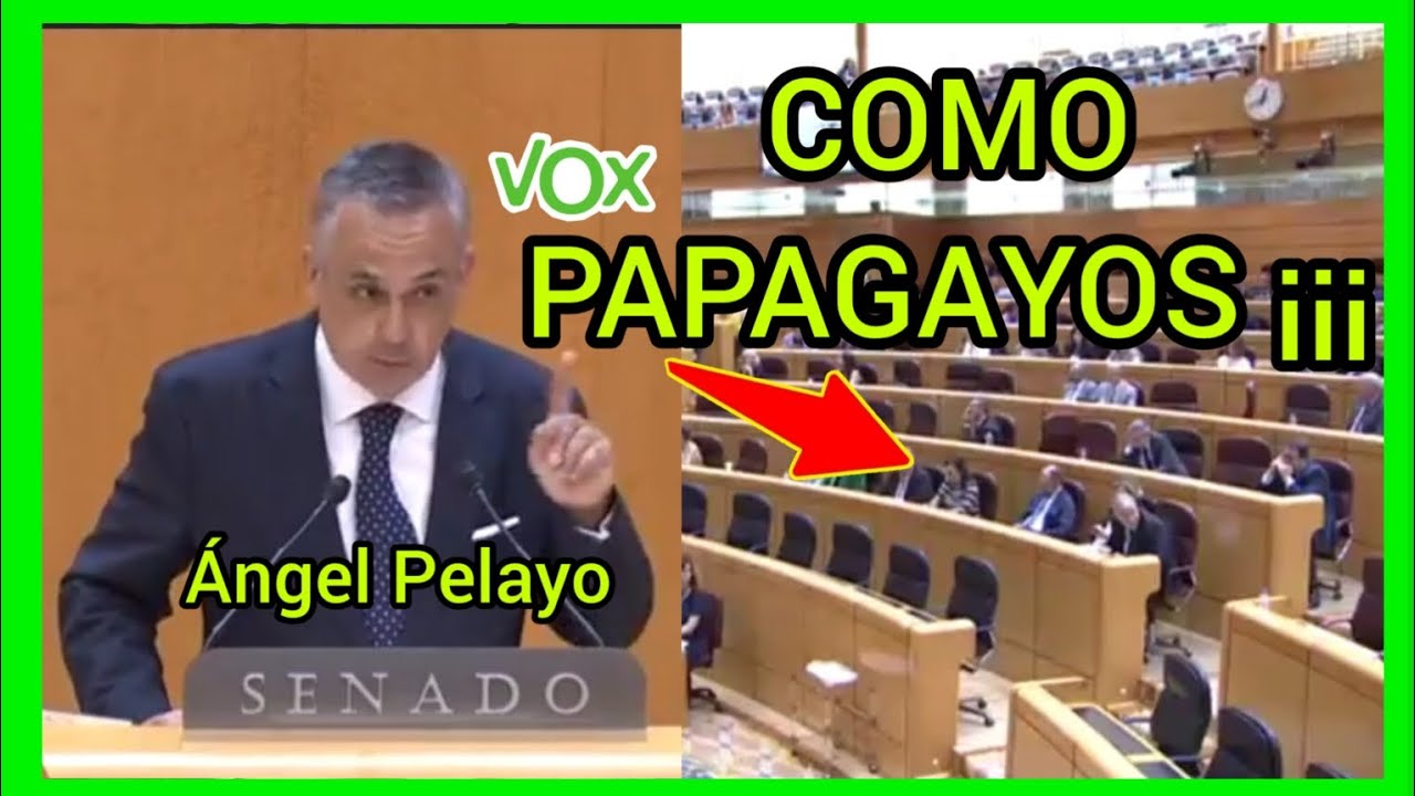 BUENA SACUDIDA DE ÁNGEL PELAYO AL SOCIALISMO - YouTube