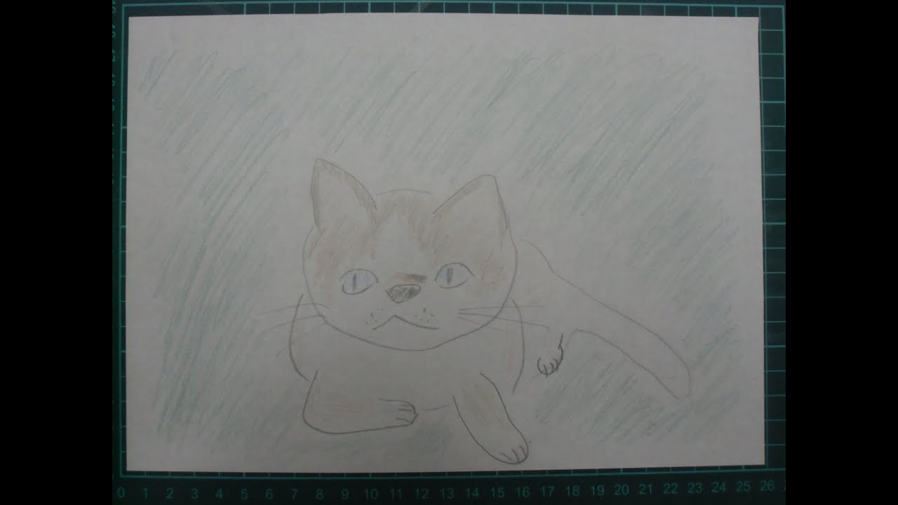 猫のあんこさん // Anko the cat #eテレ0655,#あたしねこ,#猫の日,#drawing,#cats - YouTube