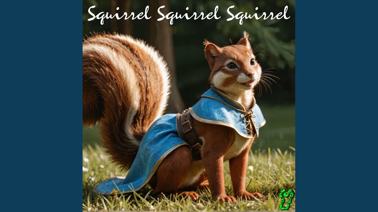 Squirrel Squirrel Squirrel - YouTube