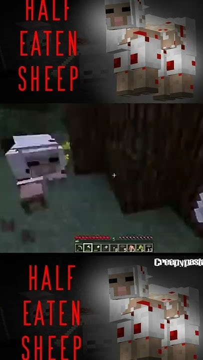 Creepypasta Half Eaten Sheep Part 2 Shorts Minecraft Youtube