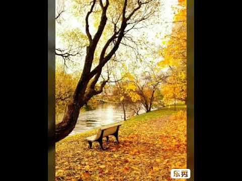 Ответ. Стихи ЭльХан. Читает автор ЭльХан.