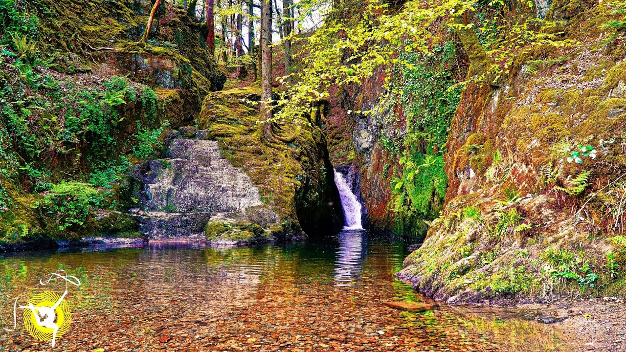 Relaxing Magical Forest Waterfall Sounds - Meditation, Relaxation ...