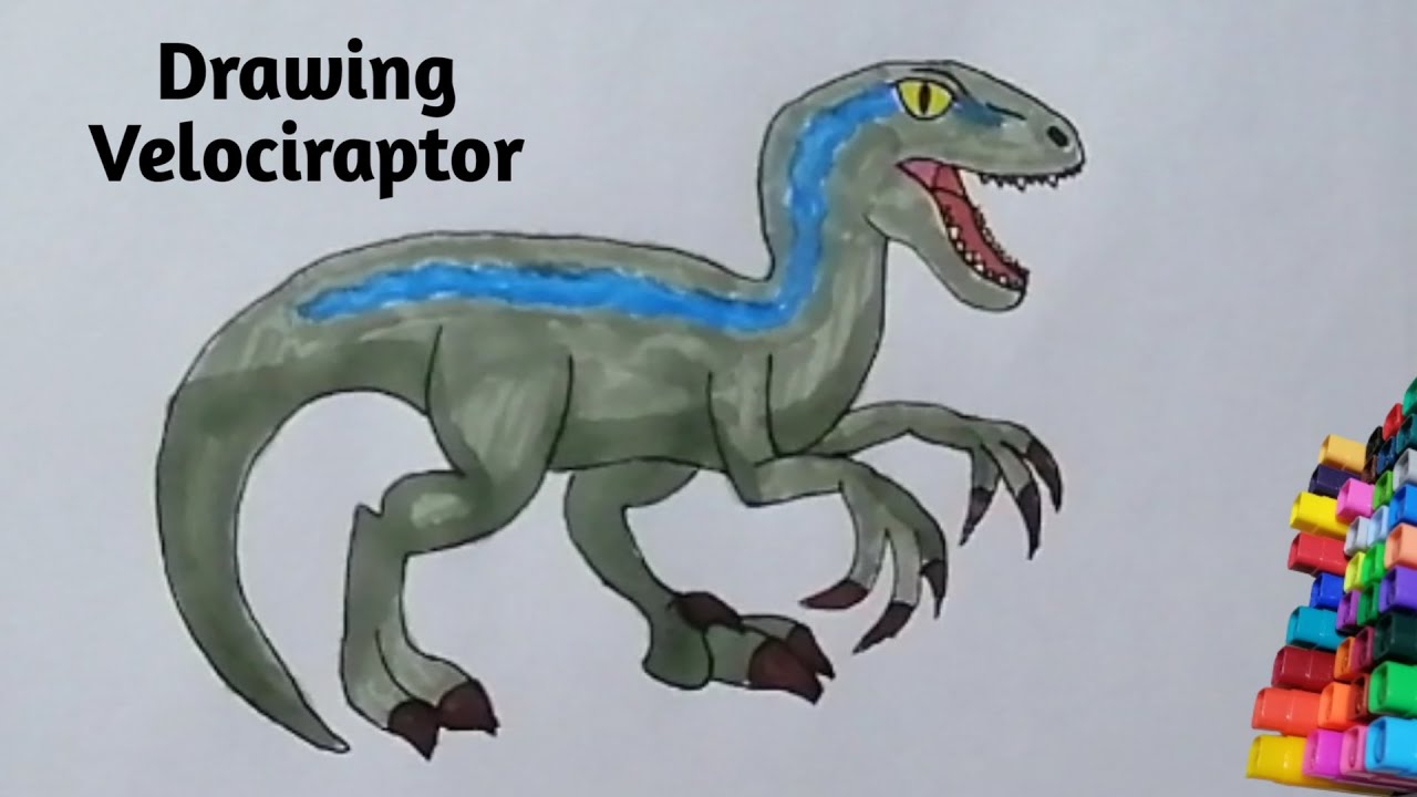 Velociraptor dinosaur drawing / Raptor dinosaur from Jurassic Park and ...