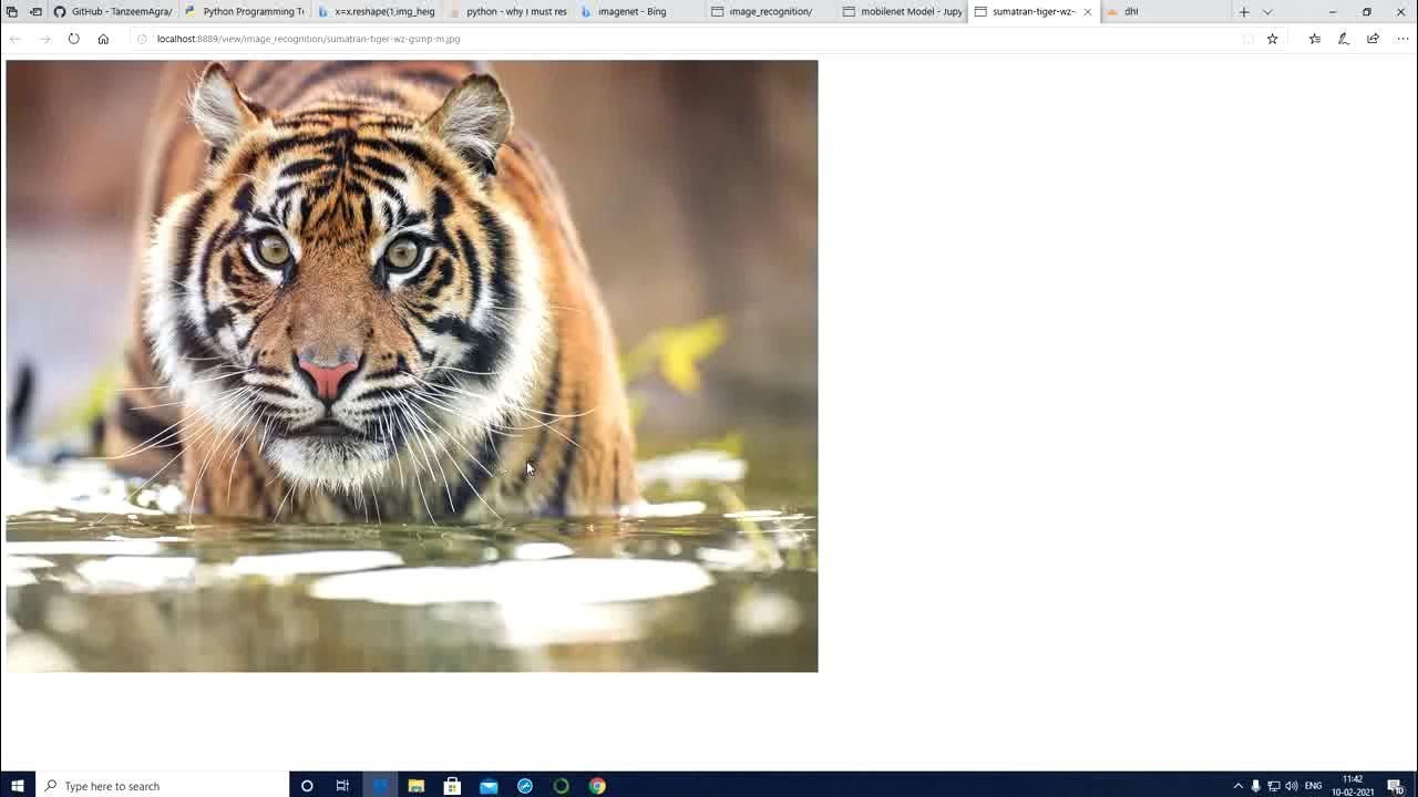 IMAGE CLASSIFICATION USING DEEP LEARNING AND MODEL DEPLOYMENT USING ...