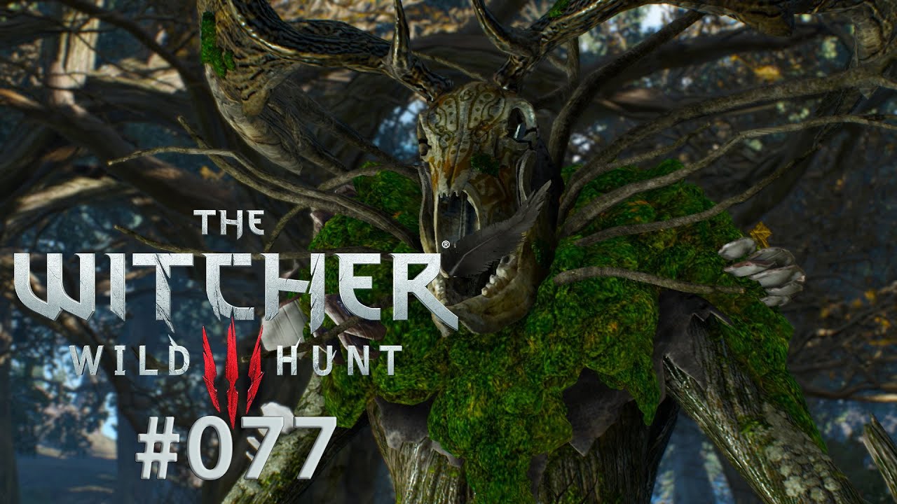 Let's Play The Witcher 3 Wild Hunt [HD] #077 - Waldschrat - YouTube