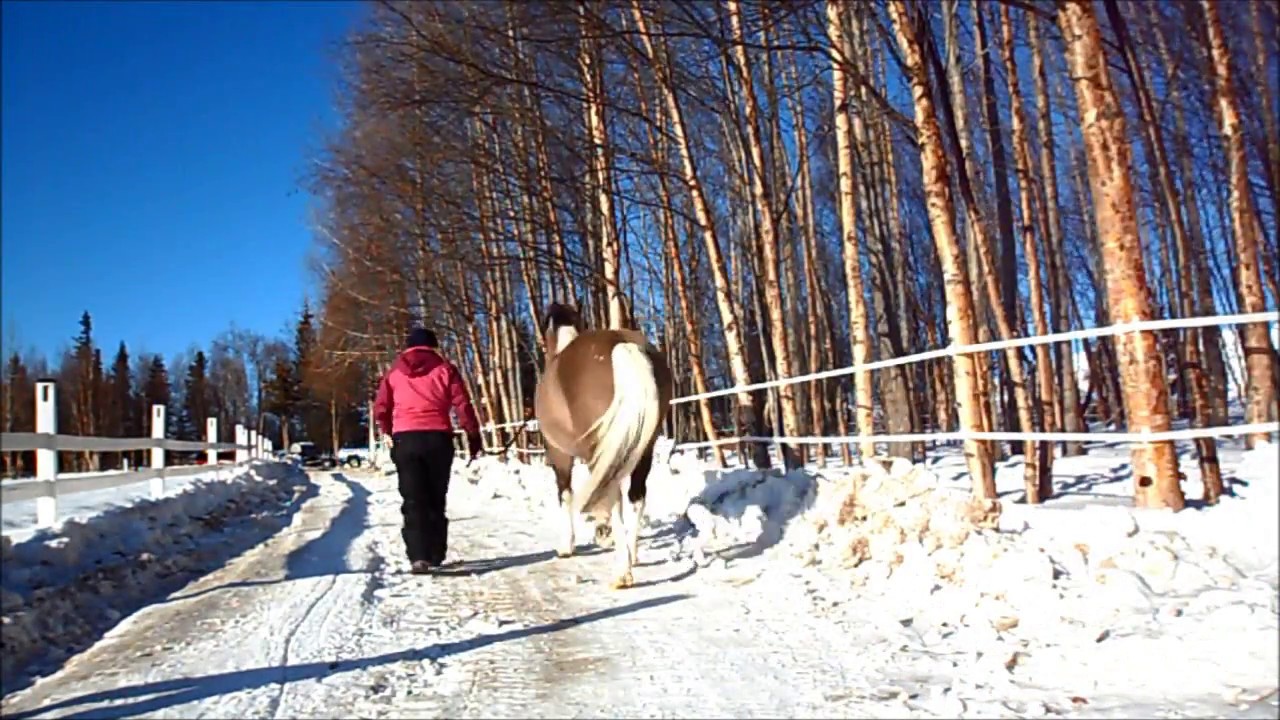 3 2 17 ahhj from barn to home - YouTube