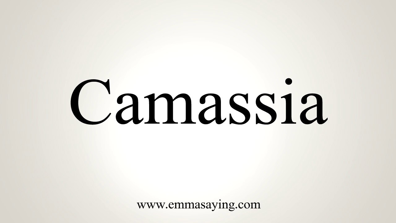 How To Pronounce Camassia - YouTube