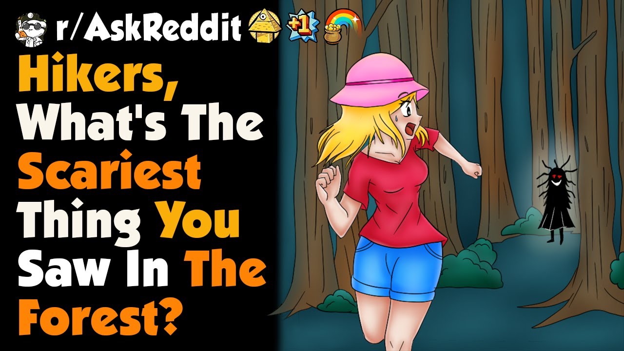 Hikers, What's The Most Bizarre Thing You've Encountered In The Wood ...