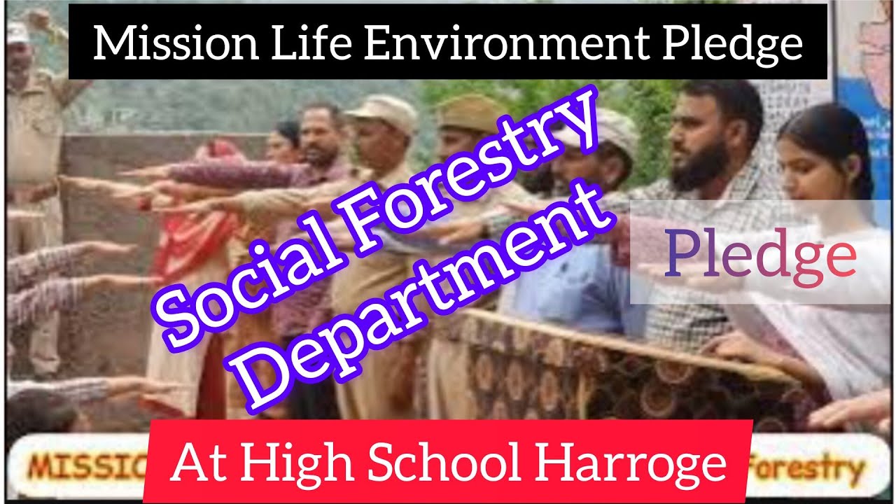 Mission Life-Lifestyle Environment Pledge at HS Harroge by SF ...
