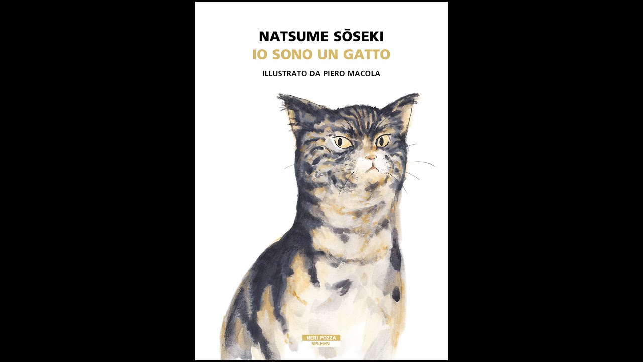 Giovedì, un libro - NATSUME SOSEKI, Io sono un gatto - YouTube