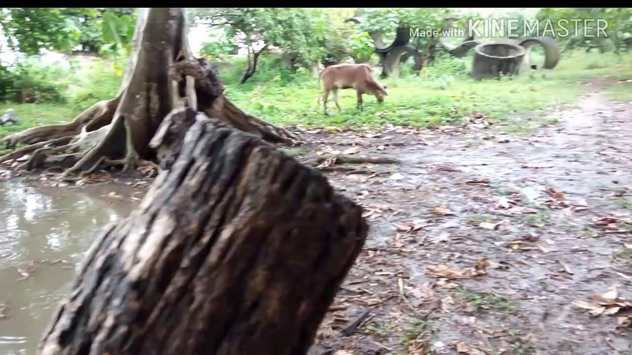 Tuboran sa Gusa part3 1280x720 3 78Mbps 2016 12 11 17 27 41 - YouTube