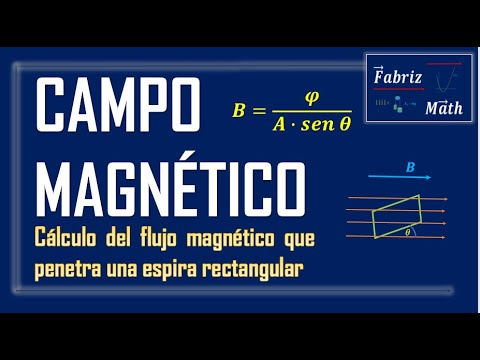 Campo Magnético, Ejercicio (Cálculo del Flujo magnético que penetra una ...