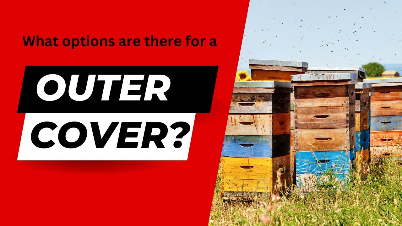 Outer Cover Options For Bee Hives - YouTube