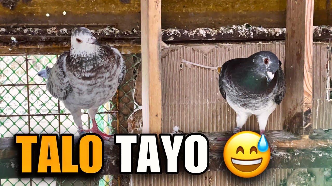 NALIGAW SI BOY KUPAD 🤣 - YouTube
