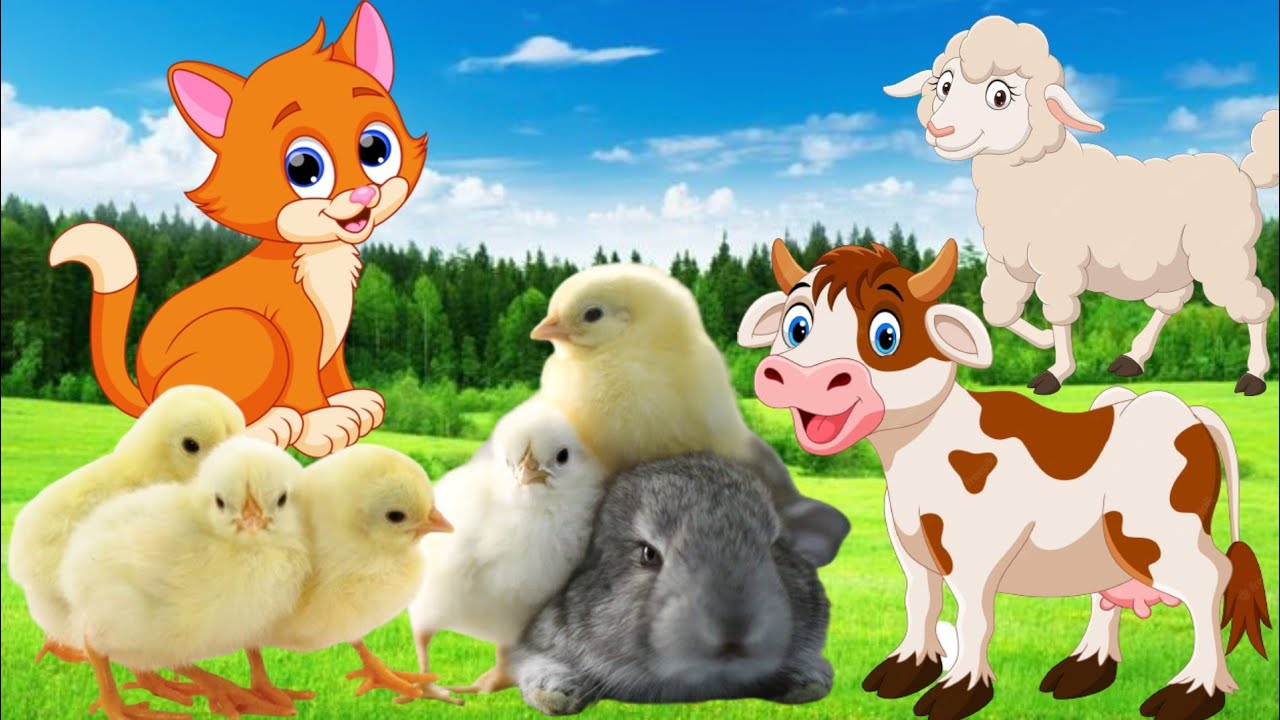 Cute familiar animals cow,sheep, rabbit,deer,chicks....|@ANNUS FUN ...