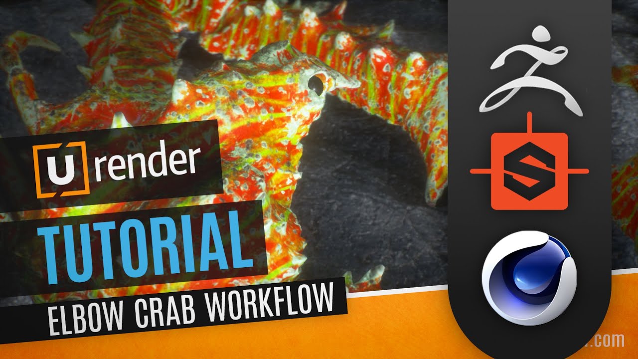 Elbow Crab Workflow (ZBrush, Substance Designer, C4D) - U-RENDER ...