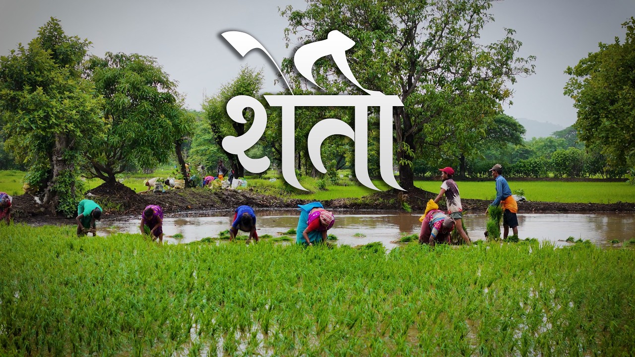 Ladh Re Tu Baliraja - Shetkari Anthem | Alibaug bhat sheti drone shots ...