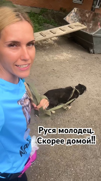 Руся ищет самый лучший дом🏡89671766136 Рита приютнекрасовка собака