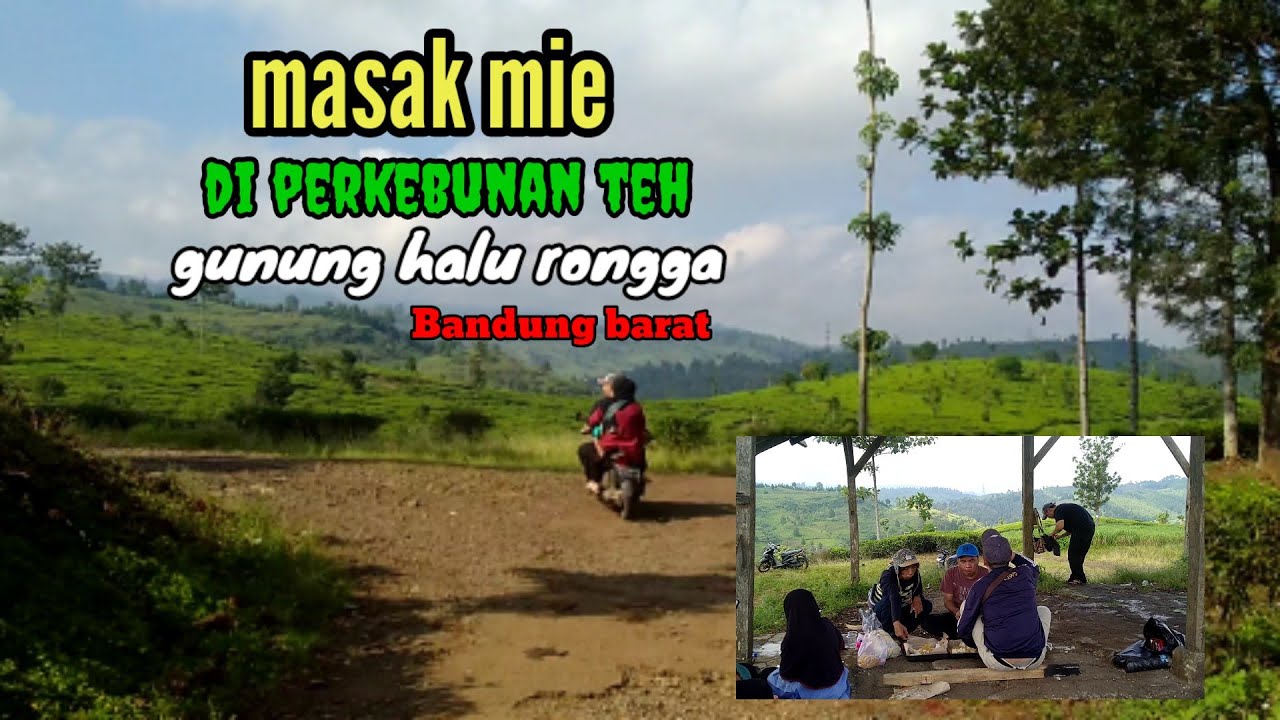 Perkebunan teh gunung halu rongga Bandung barat..masak mie - YouTube