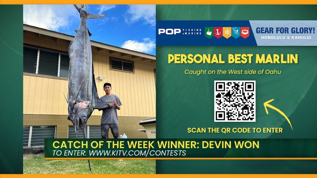 POP Fishing Week 11 - "Catch of the Week" - YouTube