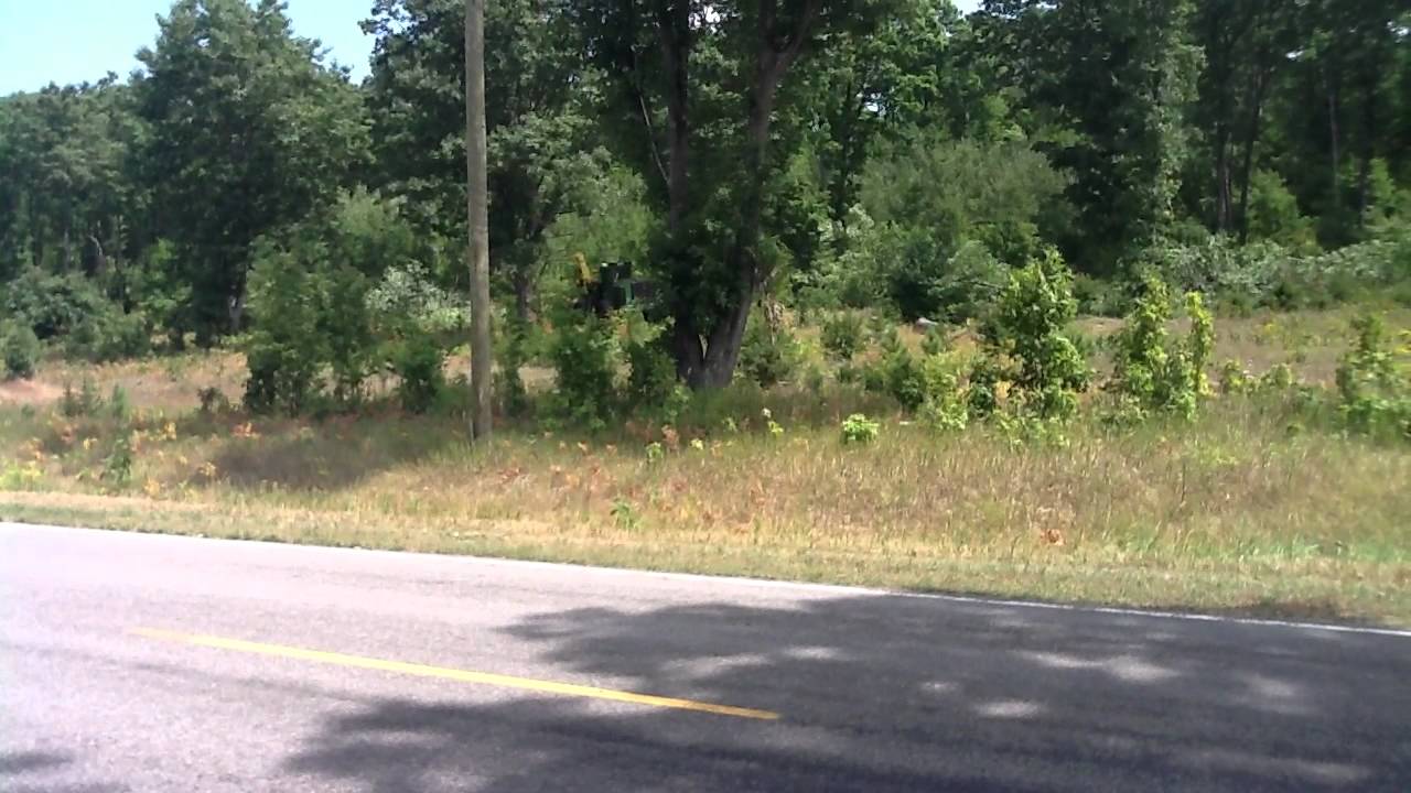 Cutting Trees Across the Road 3 - YouTube