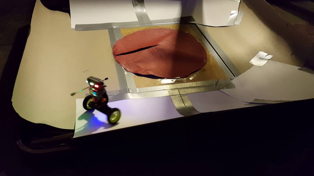 Worlds Smallest? Self-Righting Self-Balancing Self-Driving Robot!!! (2 ...