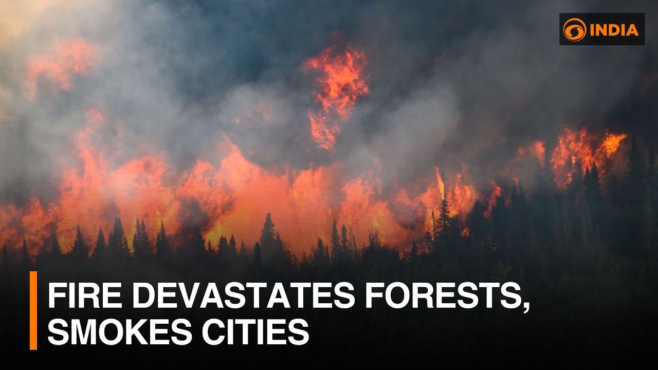 Fire devastates forests, smokes cities and more | DD India News Hour ...